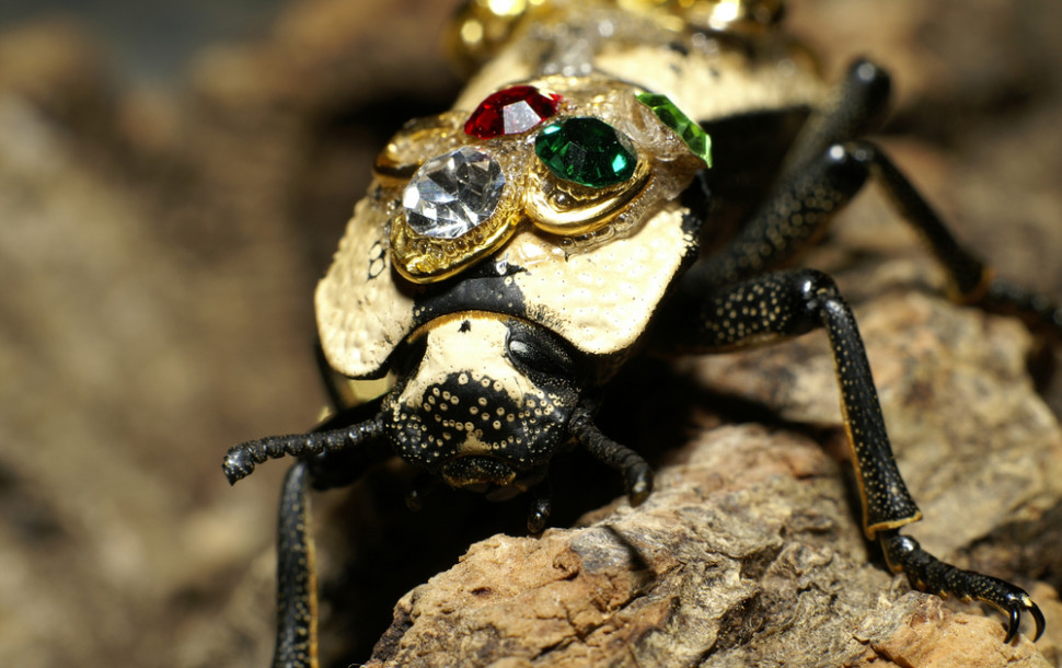 Municipio de Cacalchén: LA LEYENDA DEL MAKECH