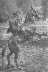 .Westerns...All'Italiana!: RIP Nosher Powell