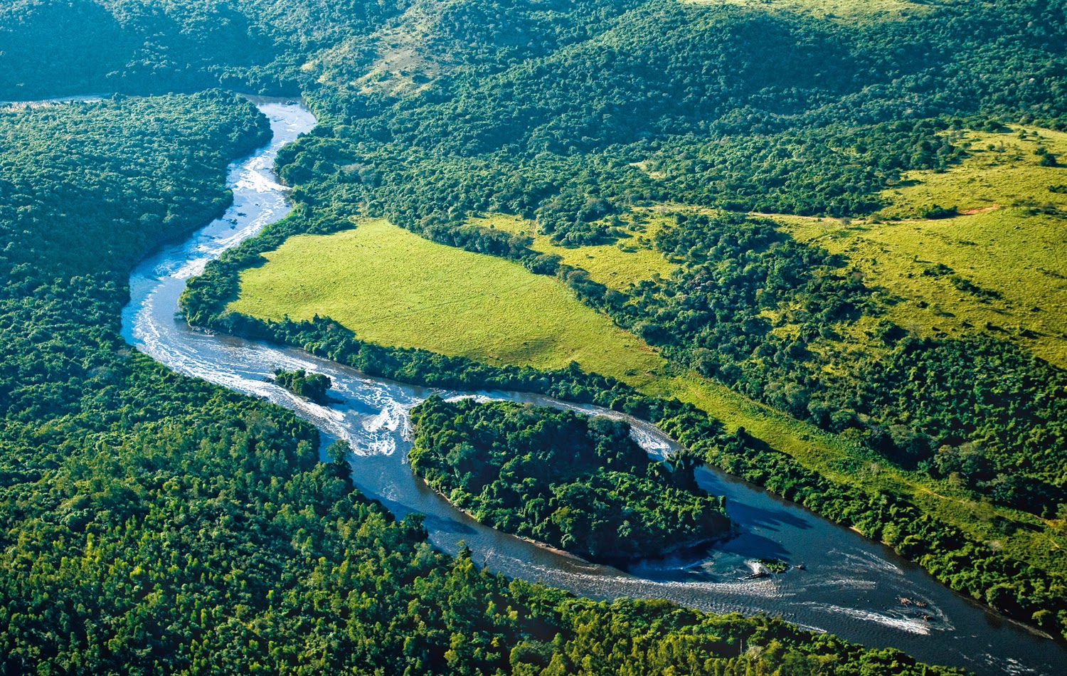 Amazonas Verde: 30 lindas fotos da Floresta Amazônica para você!