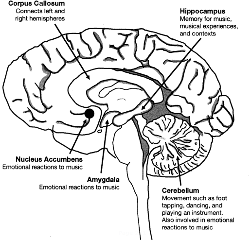 This Is Your Brain On Music : Chapter 3 ~Behind The Curtain