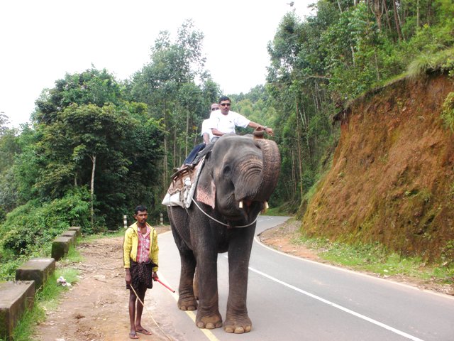 Interesting India'N Ravi: Palani, Udumalai and Munnar - Chill Visit