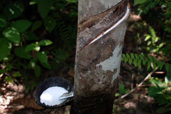 sekali pensil diraut, di sini tintaku tumpah, di sini aksara bermadah ...