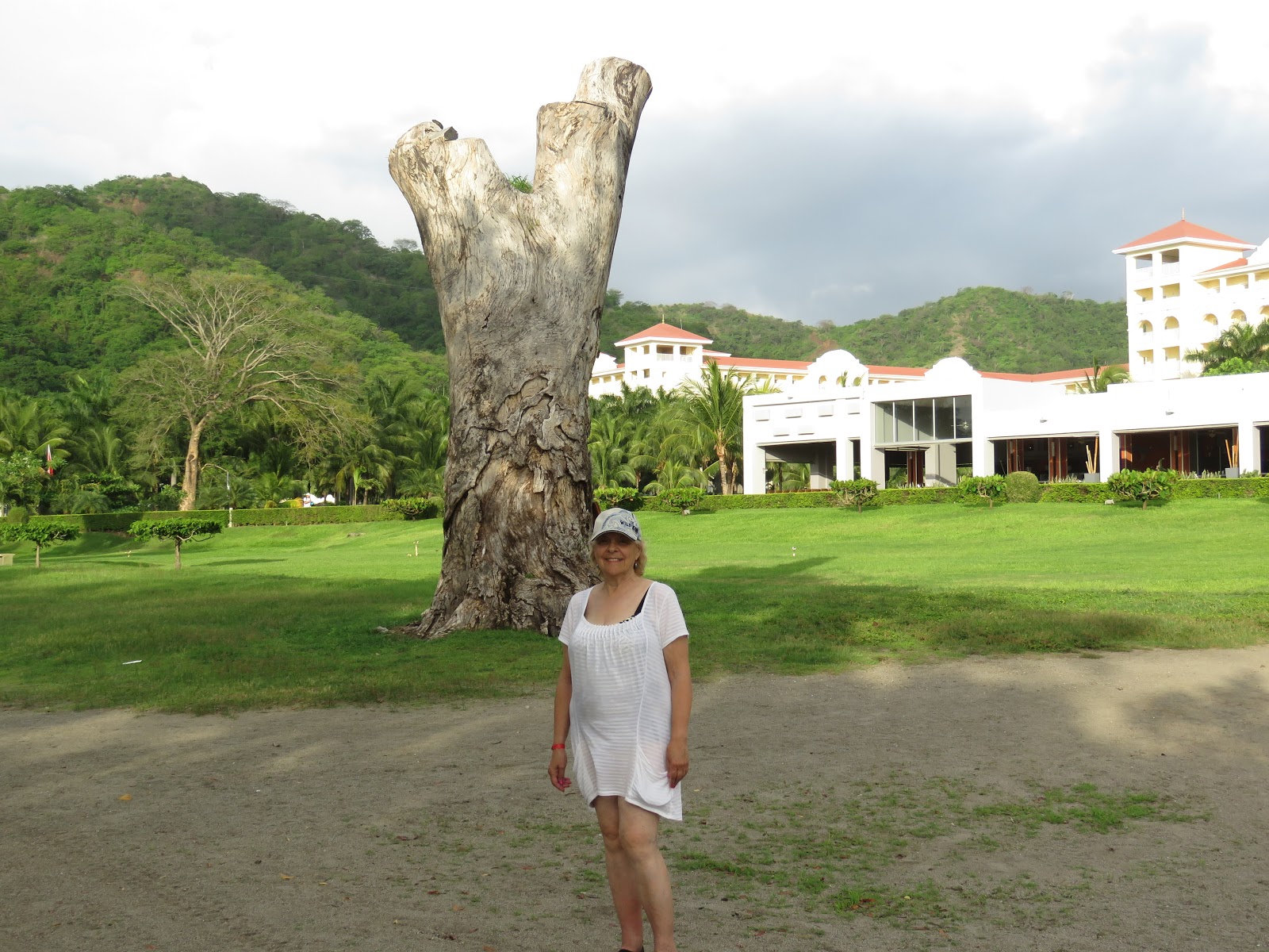 Bird & Travel Photos, Birding Sites, Bird Information: SHARON AT HOTEL ...