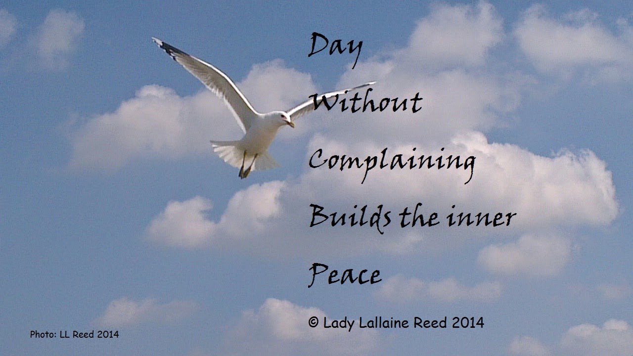 Lady Lallaine Reed's Positive