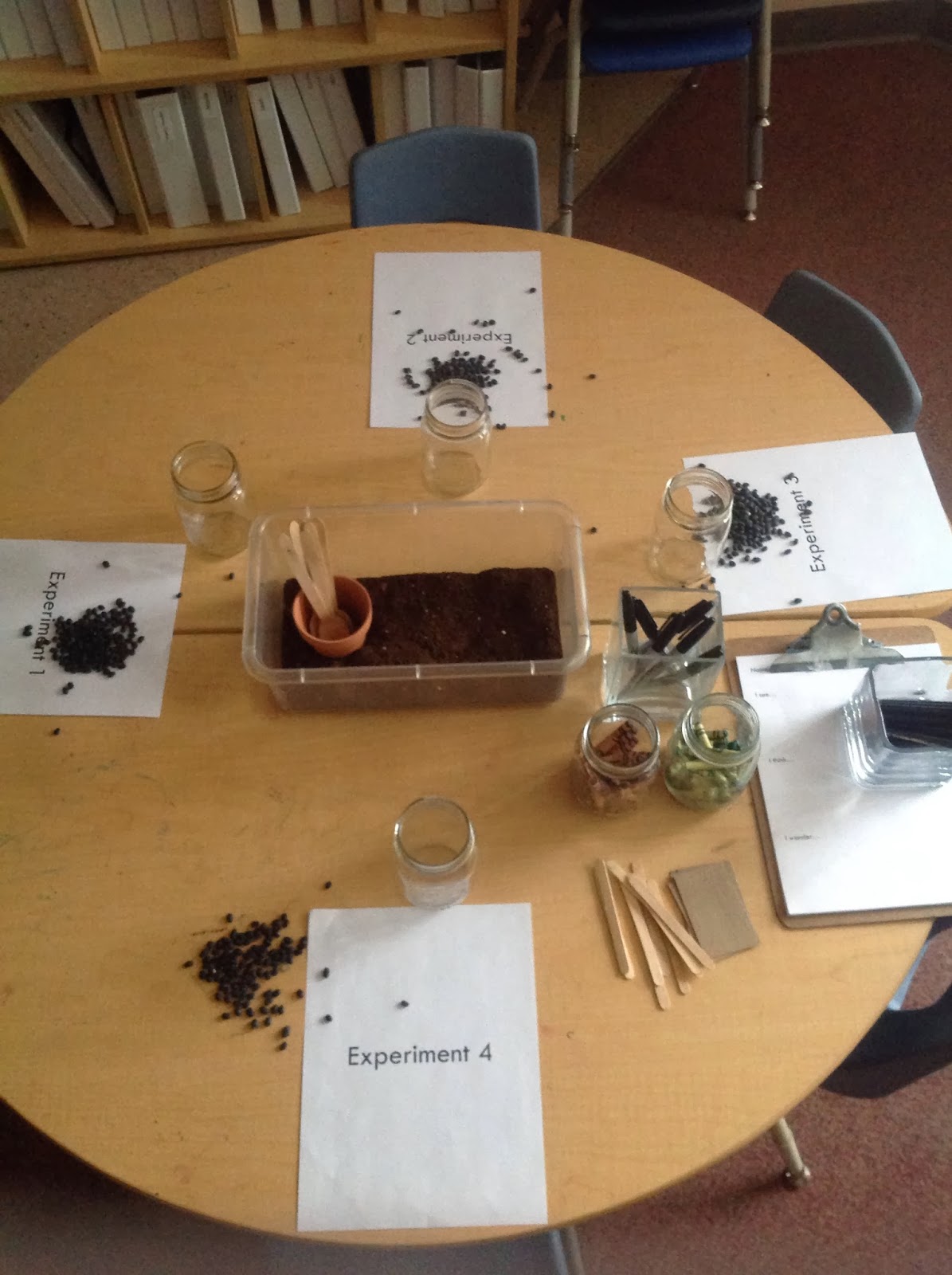 Capable, Curious, Creative Learners