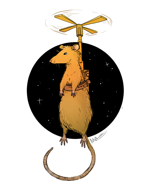 M.Ström, Arts and stuff