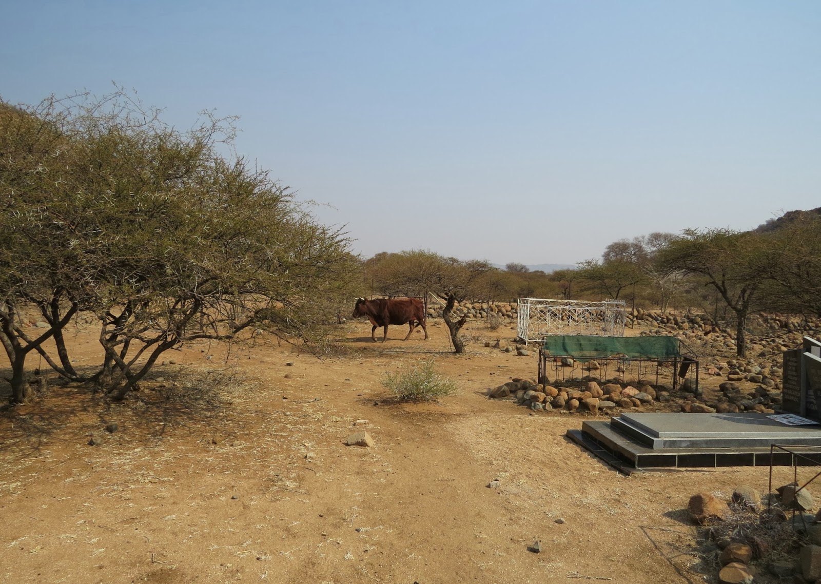 Murder is Everywhere: The Rise and Fall of Shoshong