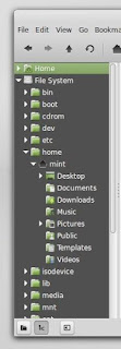 Basic Guide for Linux Mint Cinnamon File Manager (Nemo)