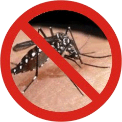 Núcleo Pedagógico - D.E. Leste 3: Mobilização contra o Aedes Aegypti ...