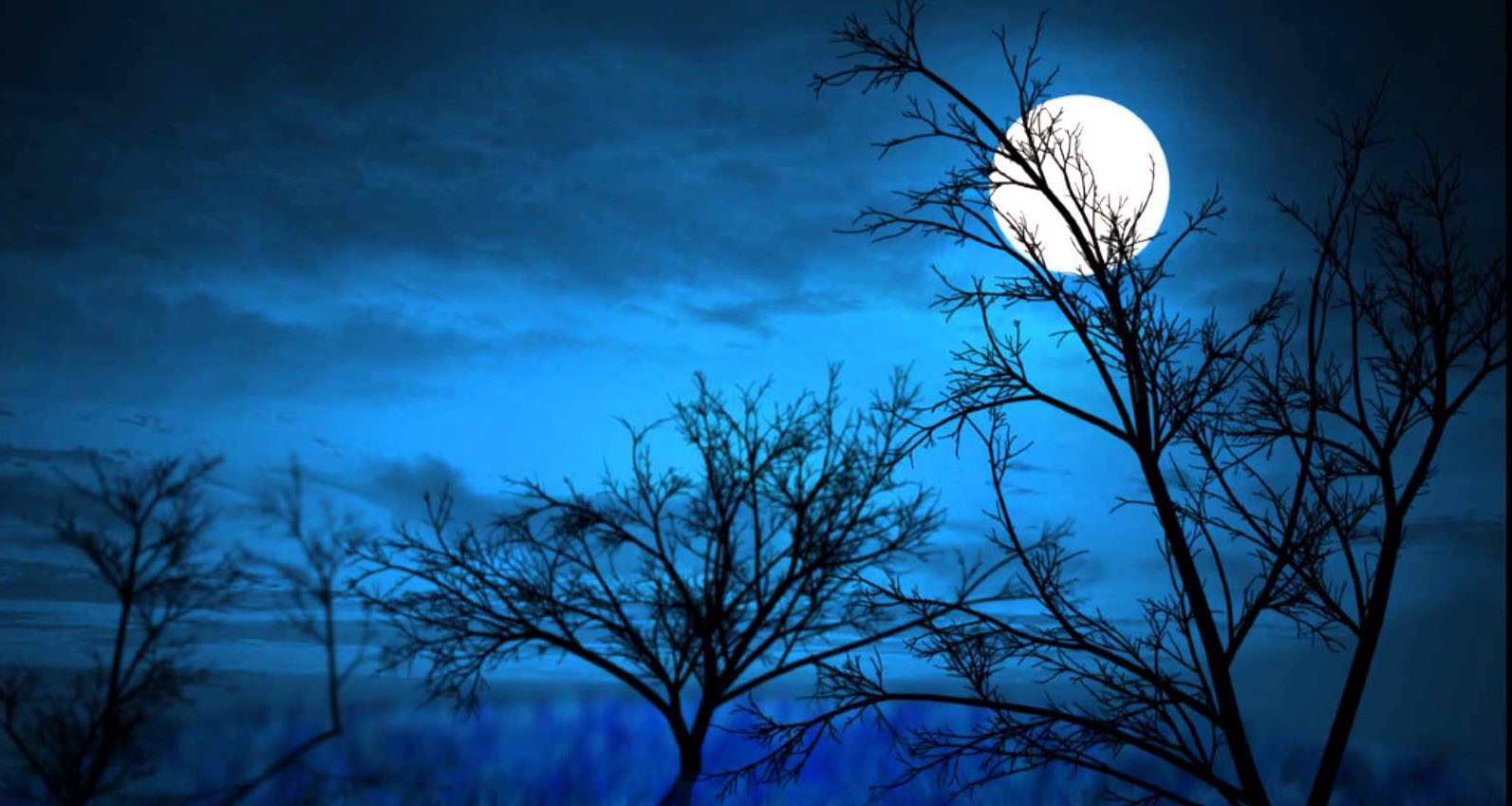 RETRO KIMMER'S BLOG: FULL BLUE MOON AND TOTAL LUNAR ECLIPSE TOMORROW!