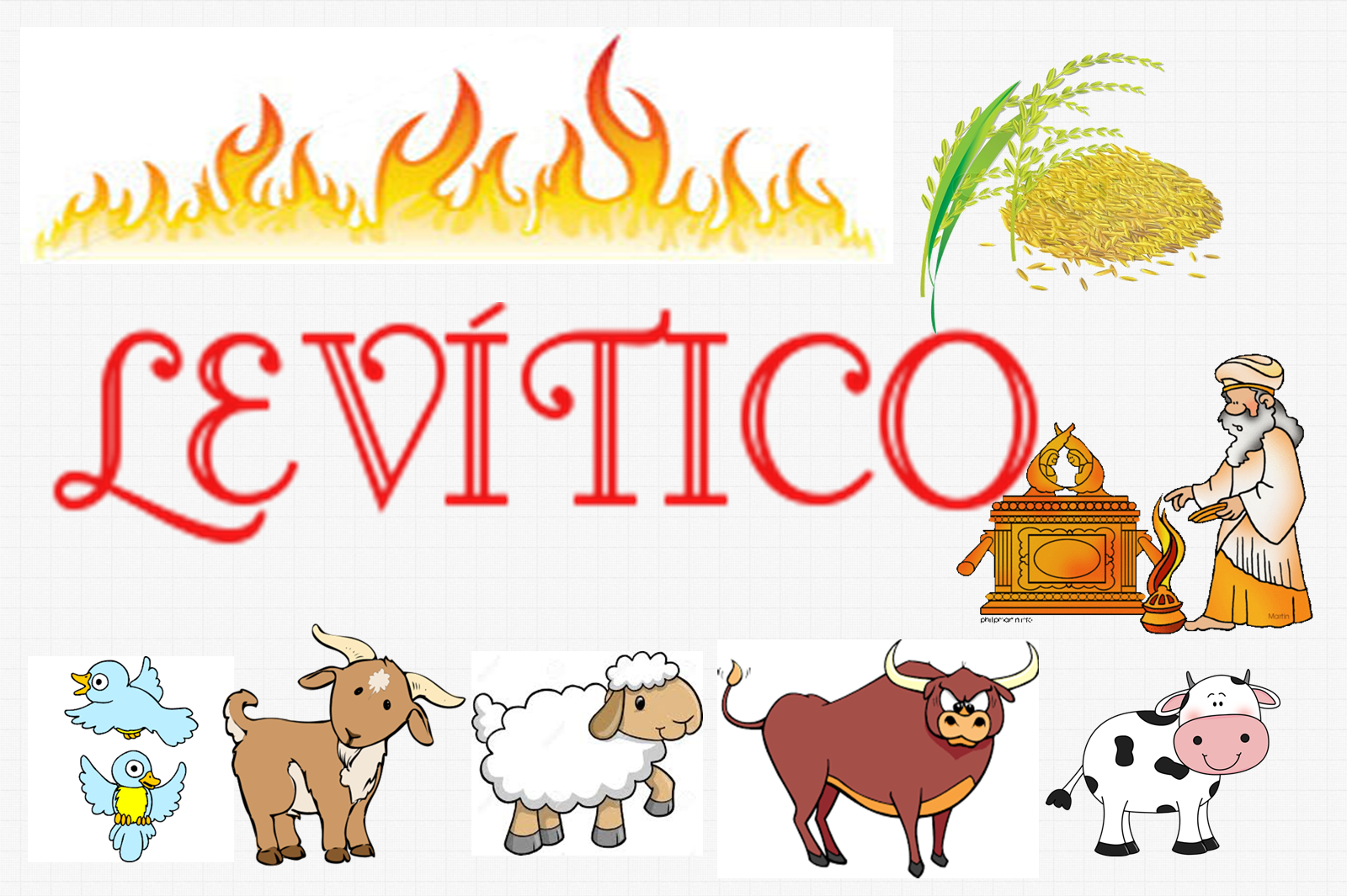 No Caminho Certo: Levitico para crianças