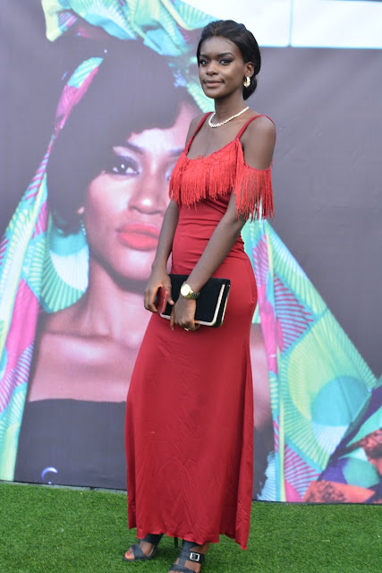 Maestro's Media: OUT & ABOUT ON THE RED CARPET AT THE ICONIC AFWN 2017