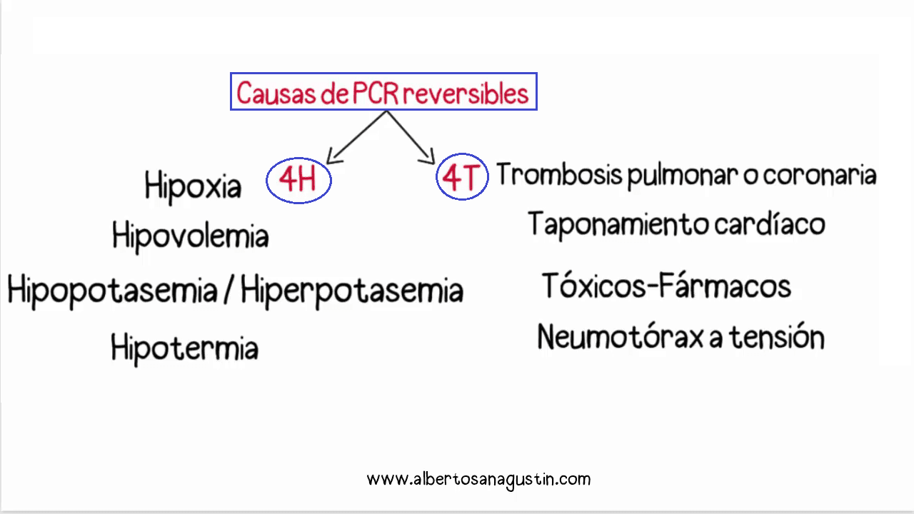 Soporte Vital Avanzado | Dr. Alberto Sanagustín