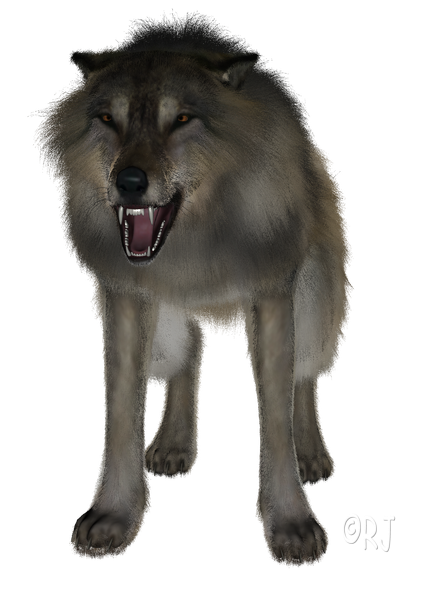 RJs Bits Bobs Props & Pieces: Wolf Pack