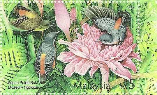 DUNIA SETEM : Setem Burung Tropika 2002.