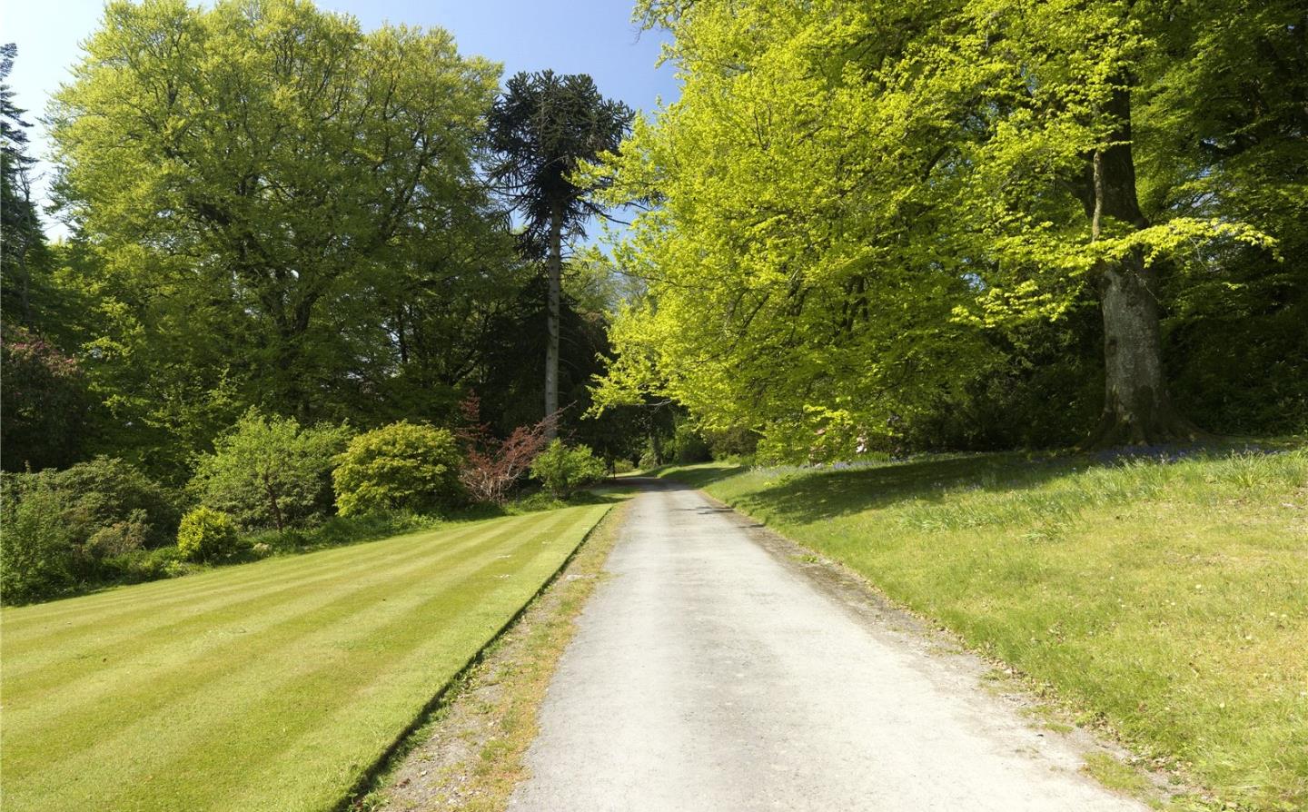 The Designer's Muse: Manor of the Month, Ffynone