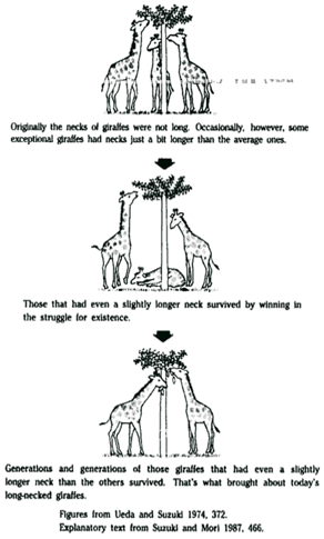 TEORI EVOLUSI JEAN BAPTISTE DE LAMARCK