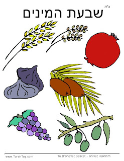 Torah Toy: Tu B'Shevat Basket