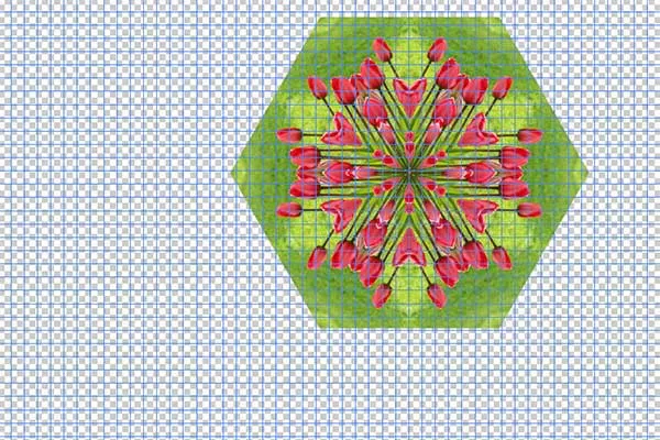 PhotoEffect: Create a Kaleidoscope Pattern in Photoshop