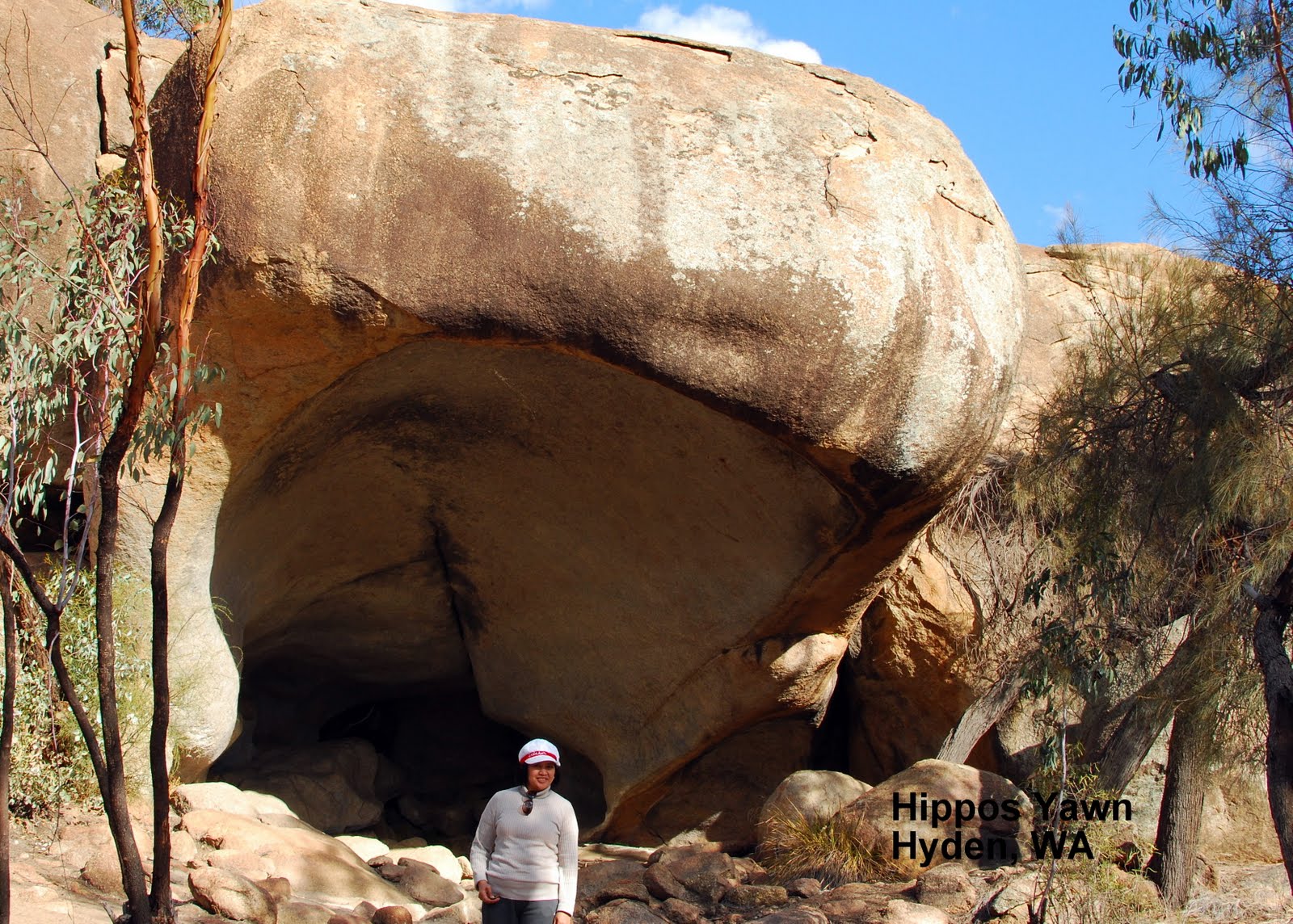 Looking Back...: Wave Rock at Hyden WA
