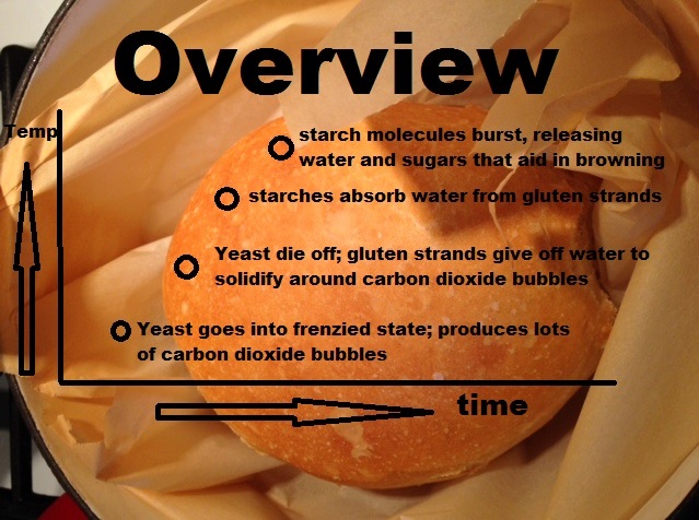 The Bread Maiden: The Science Behind... cooling