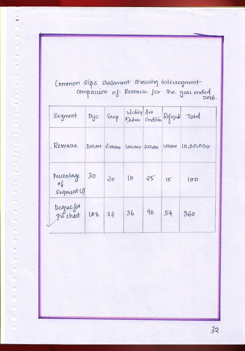PRACTICAL ACCOUNTANCY: Specific project - 1 Segment Analysis