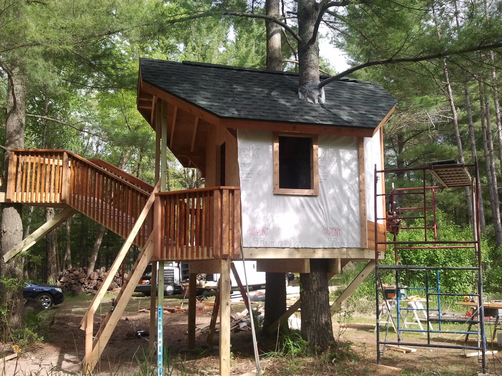Construction Dan: Advanced Tree House Building
