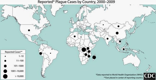Branding Science Blog: The Black Death and Public Health