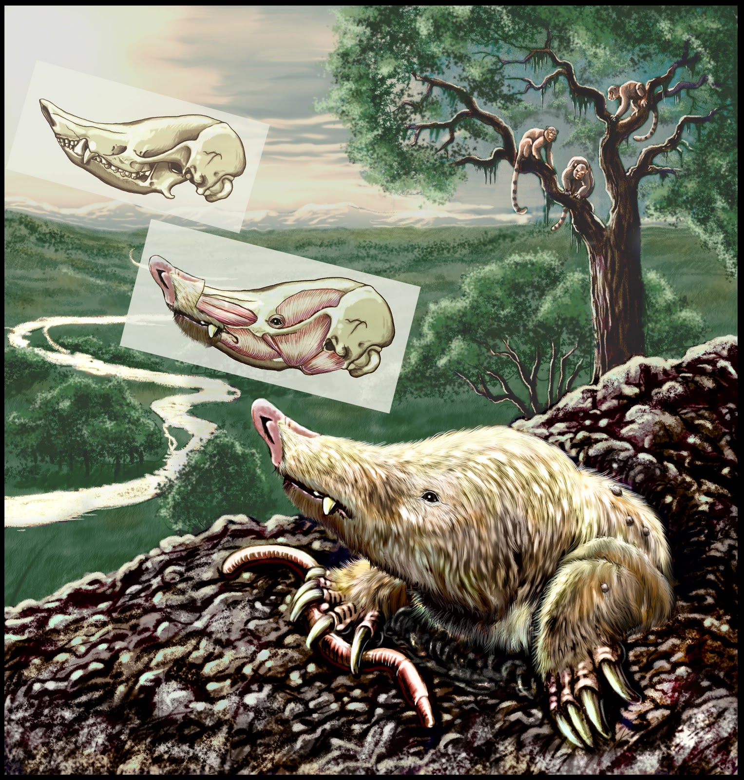 Species New to Science: [Paleomammalogy • 2012] the Miocene mammal ...