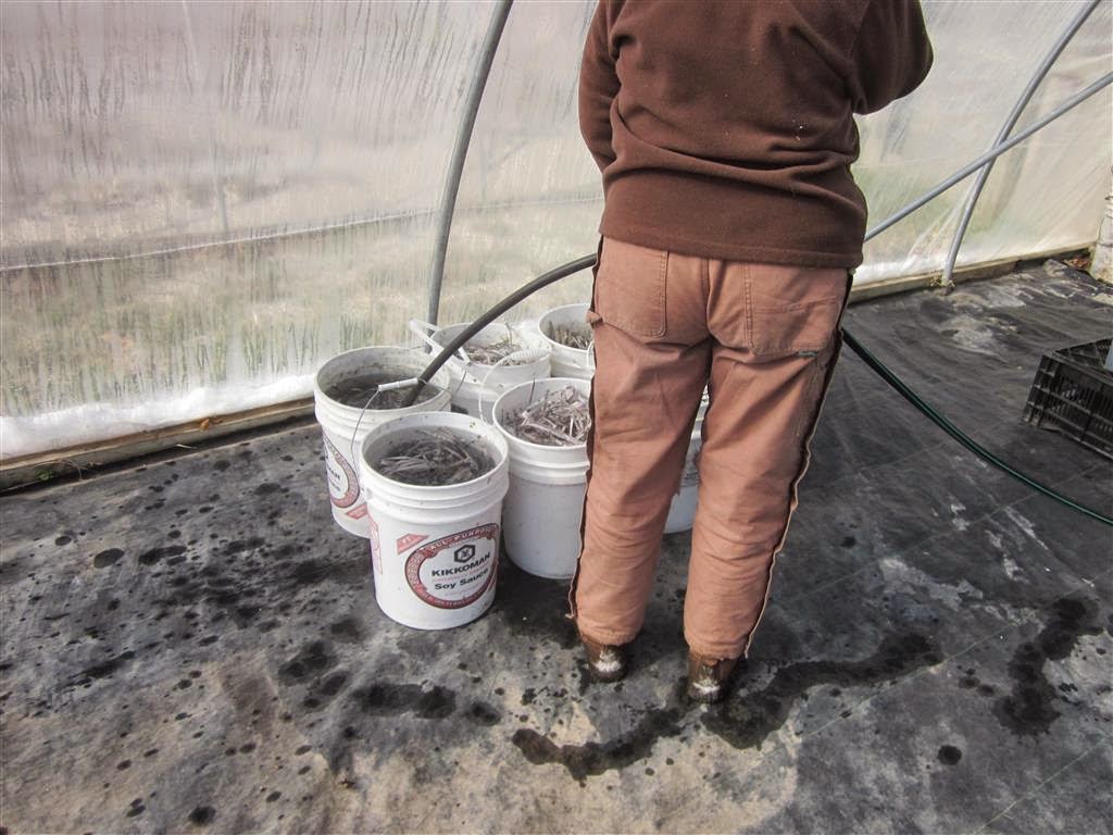 The Papercrete Potter: The Papercrete Process.......