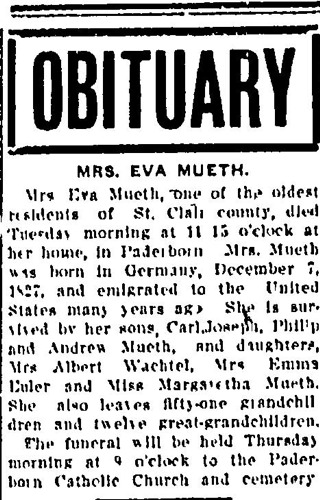 Neff & Mueth Family Blog