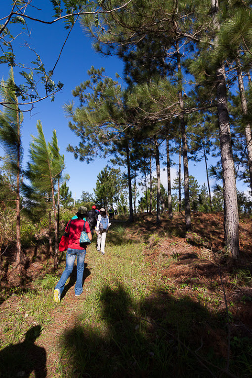 Joan, my views: Bullhead Mountain, dead center of the island