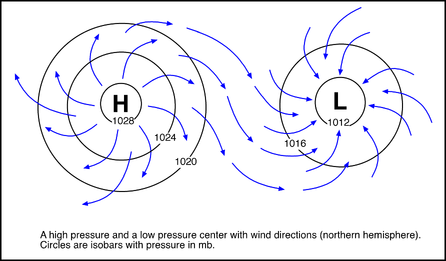 María y las Ciencias Naturales