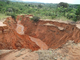 TV AGUAS: O QUE É VOÇOROCA?