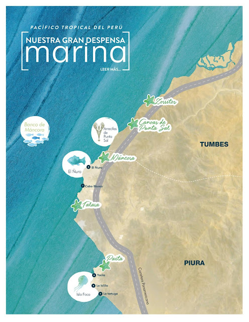 DEFENDIENDO EL MAR TROPICAL DEL PERÚ: ¿DÓNDE SE UBICA LA ZONA PROPUESTA?