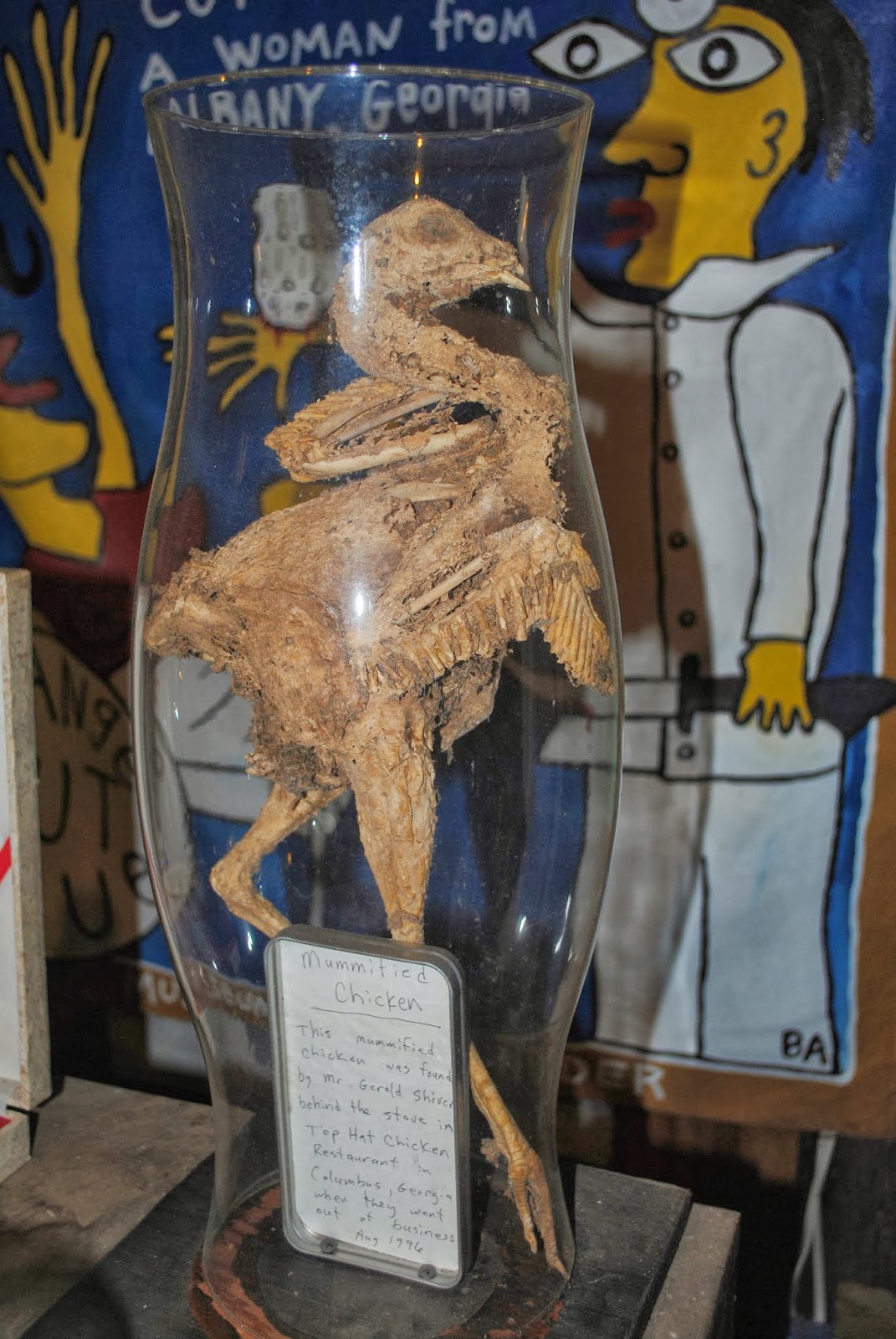 The Carpetbagger: The Alabama Museum of Wonder