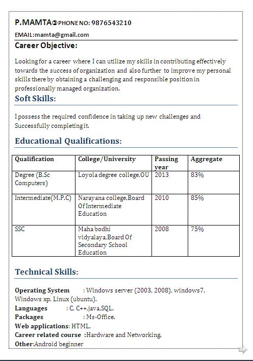 Resume Format for Bsc Computer Science Fresher Students in Word Free ...