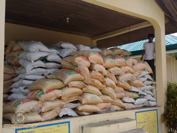 Bayan ng Cabugao: BATANG MET TI BARANGAY TUROD PATAC ITI IMMAWAT ITI ...