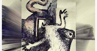 La Galería de lo Grotesco