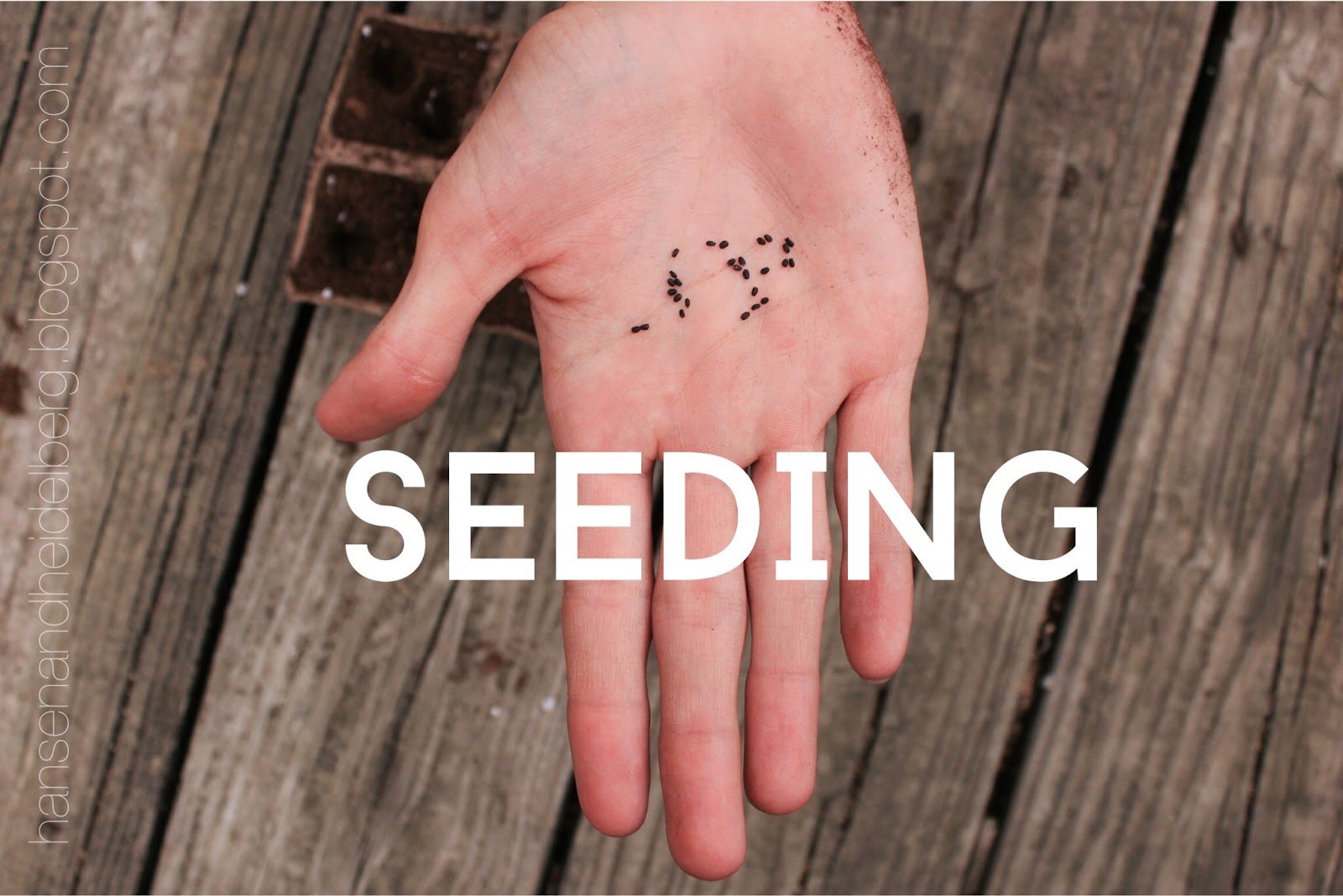 Starting An Herb Garden: Seeding | Hansen & Heidelberg : Starting An ...