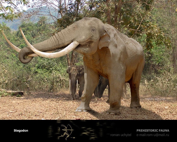 Escenarios prehistóricos: Stegodon