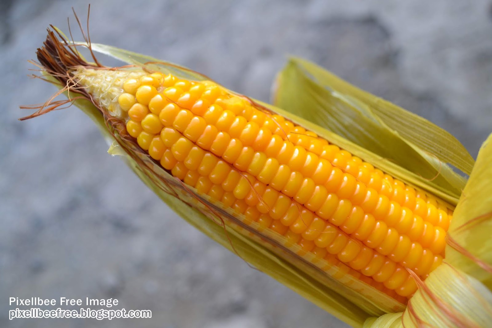 Hiraya: Setyembre 2018