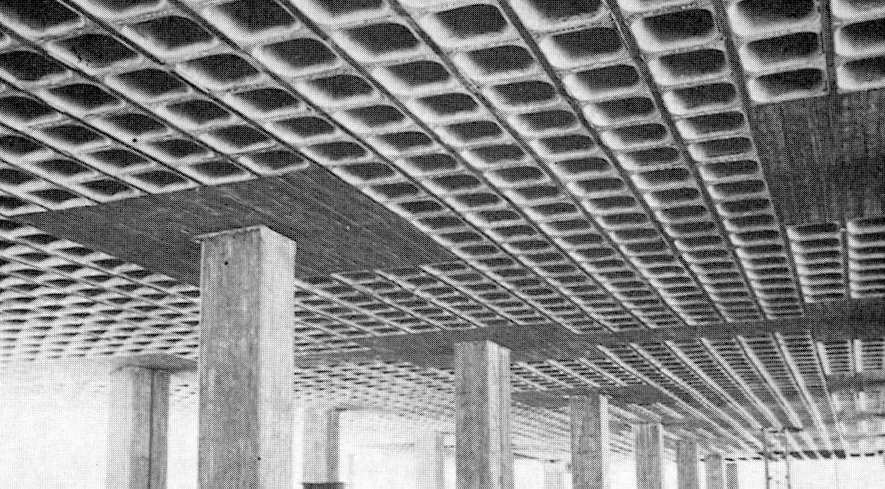 - Concreto ULSA -: LOSAS RETICULADAS