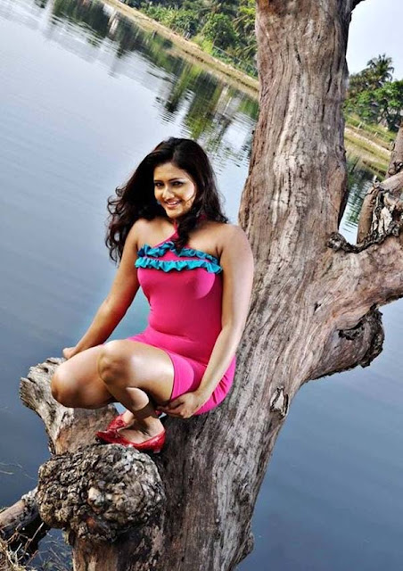 Swimsuit Bikini Girls Sri Lankan Film Actress And A Model Ameesha 46410 The Best Porn Website