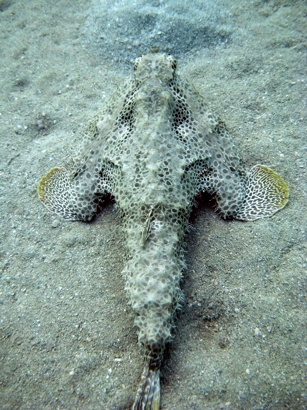 Stay In Touch With Collier County's Sea Grant Extension Program: The ...