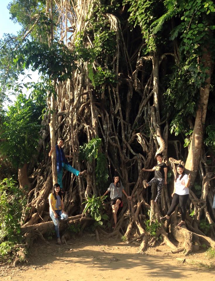 Turistang Pinay: Millenium Tree of Aurora - Largest Balete Tree in Asia