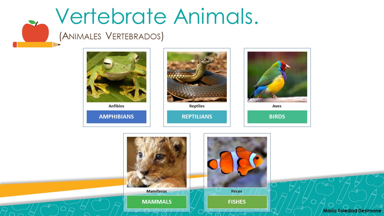 Cultura y TIC: INGLÉS. VOCABULARY. VERTEBRATE ANIMALS. (ANIMALES ...