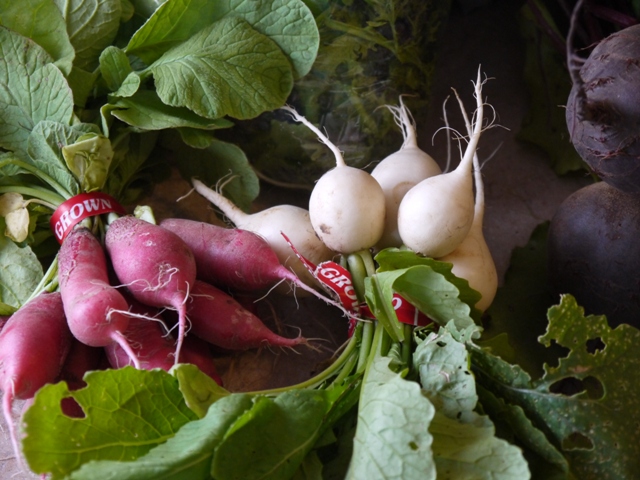 Clockwatching Tart: Baby Turnips with Turnip Greens & Baby Carrots