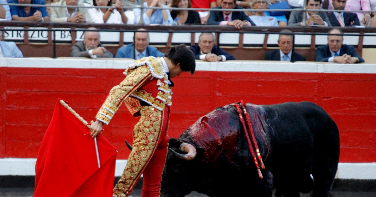 Por la Ruta del Toro: Roca Rey de que están hechos los toreros