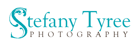 Orange Gecko Designs | Graphic Design Services by Trisha Robertson